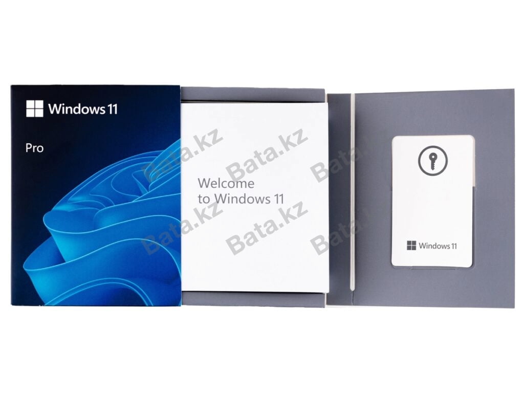 Windows 11 Pro BOX