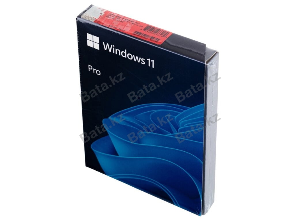 Windows 11 Pro BOX